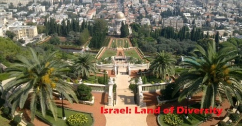 Fun Joel Israel Tours