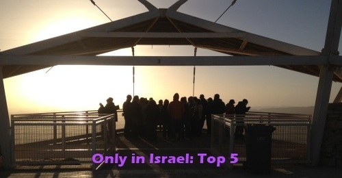 Fun Joel Israel Tours